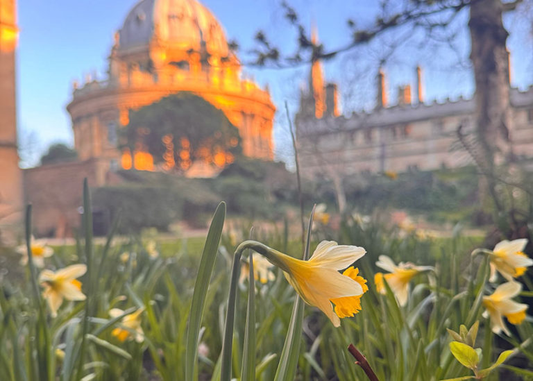 Rector Dr Andrew Roe reflects on Oxford life and Hilary Term 2025 ...